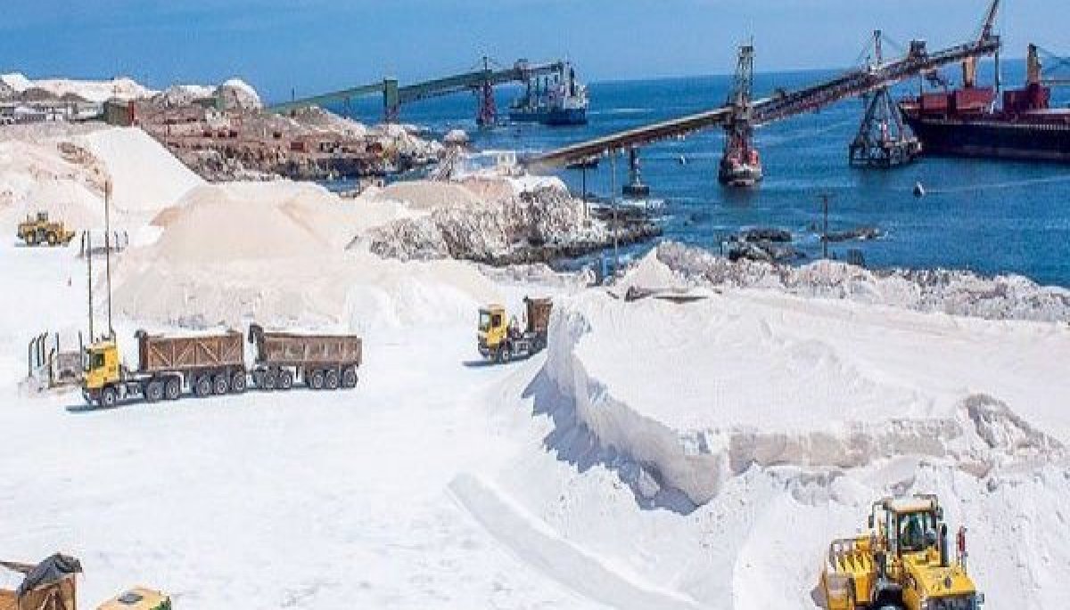 Sal chilena en Nueva York: abogados afirman que TLC con EEUU permitirá ...