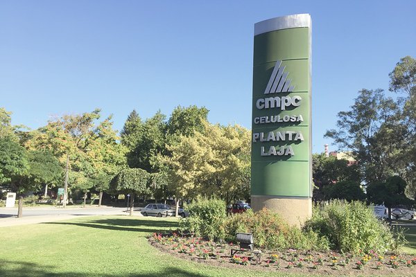 Softys, de CMPC, compra Productos Internacionales Mabe | DF SUD