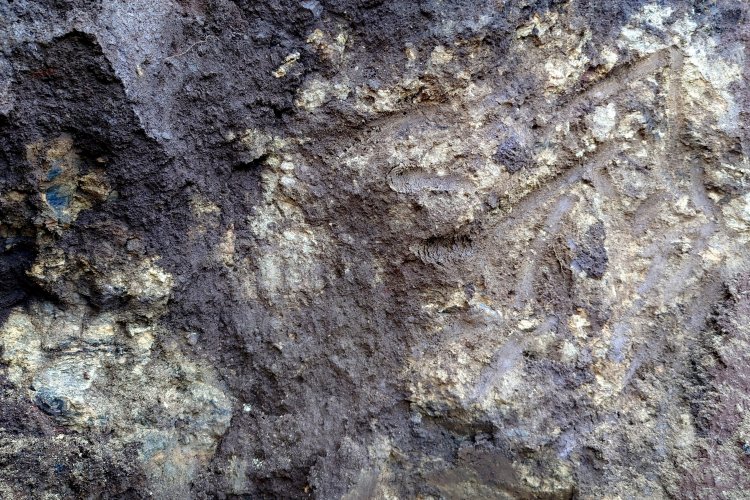 Minera Aclara descubre depósito de tierras raras en Brasil 10 veces más ...